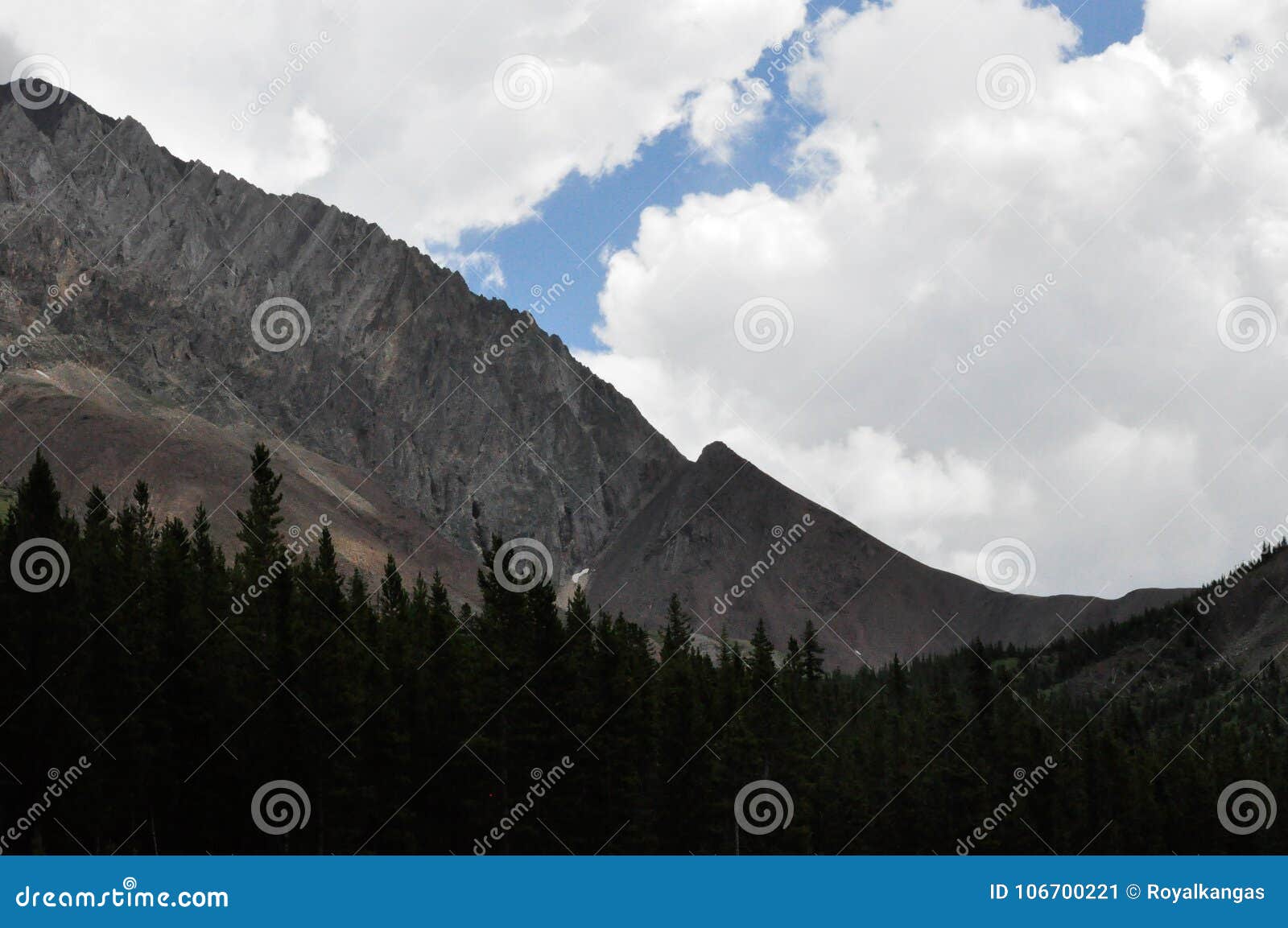 Treeline on a Mountainside stock image. Image of range - 106700221