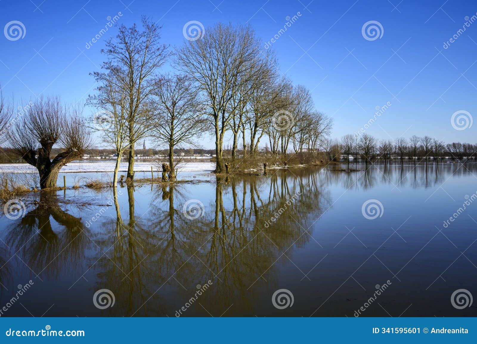 Treeline with Reflection in the Flooded River Stock Image - Image of ...