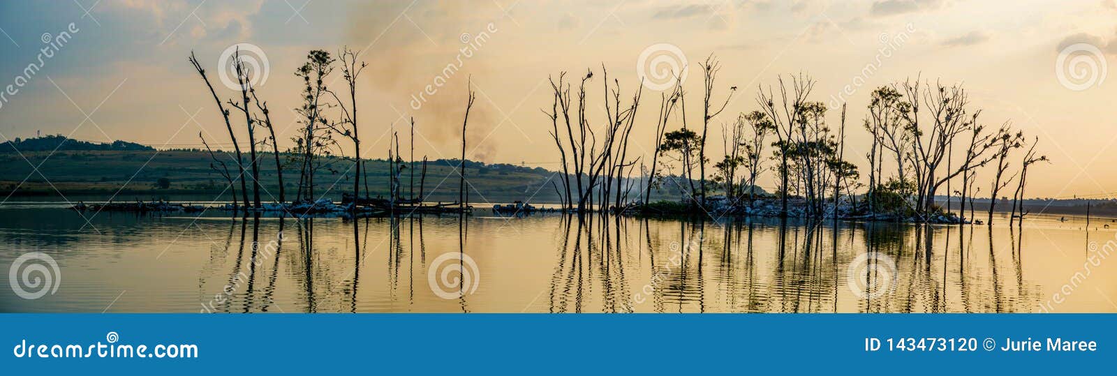 Treeline Silhouette on an Island. Stock Photo - Image of silhouette ...