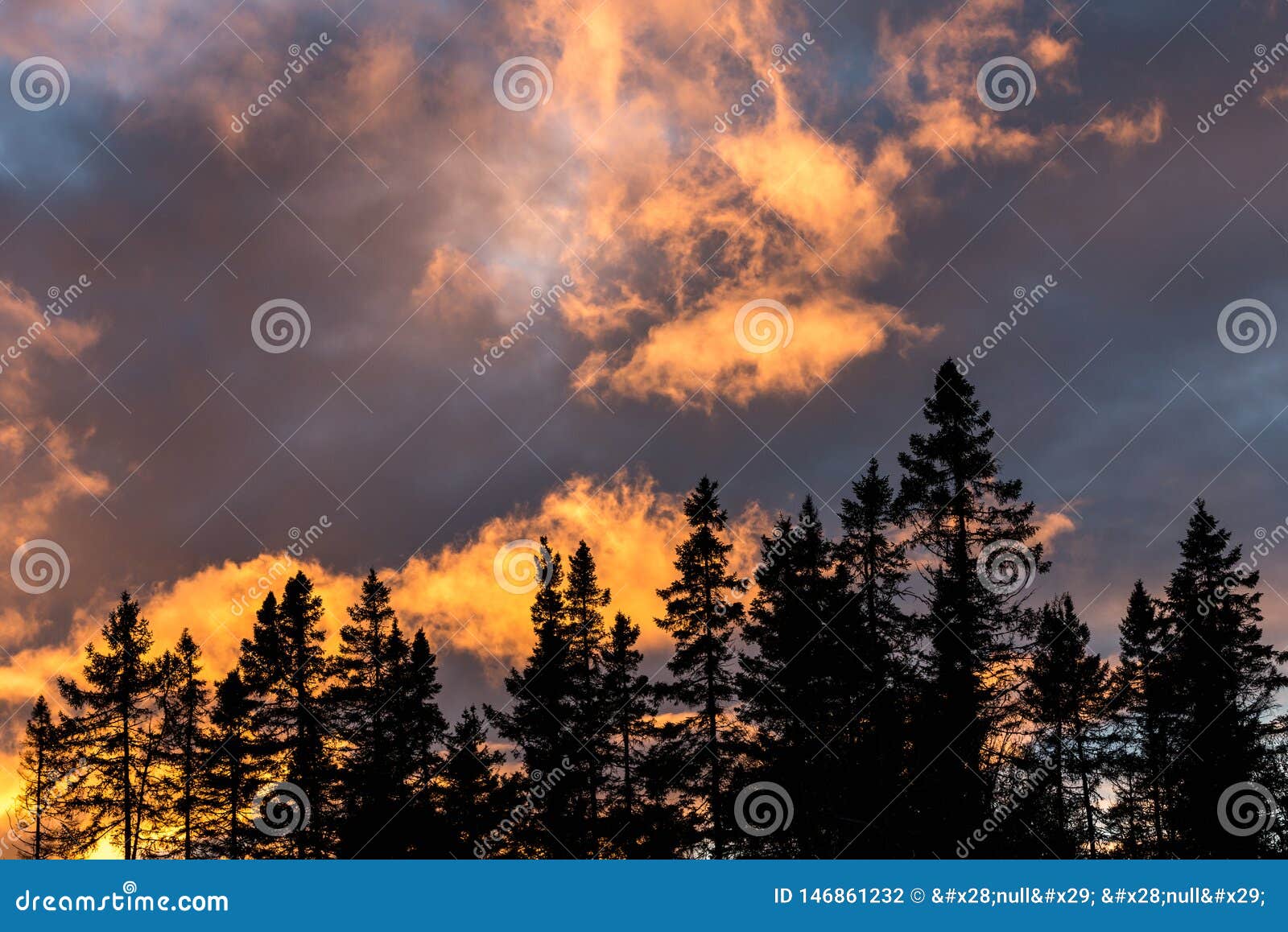 Treeline Silhouette Against Dramatic Sunset Stock Photo - Image of ...