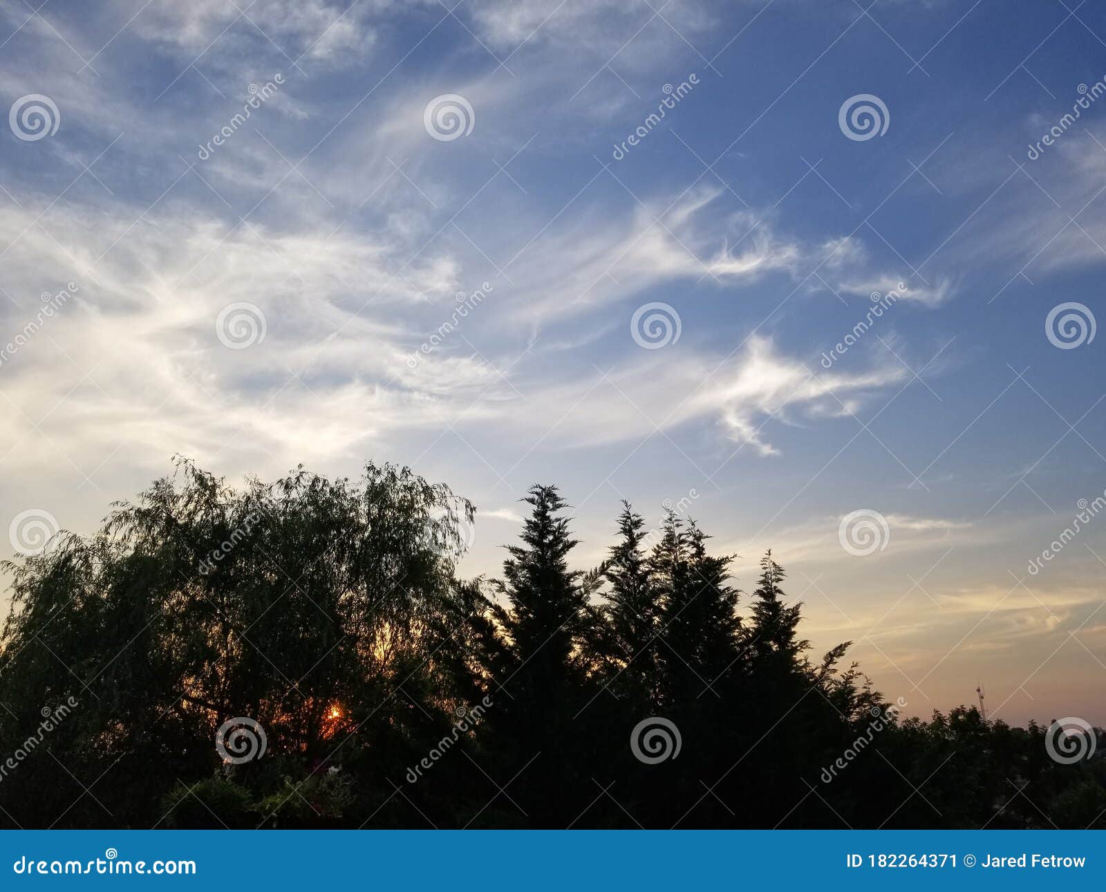 Treeline views of the sky stock image. Image of nature - 182264371