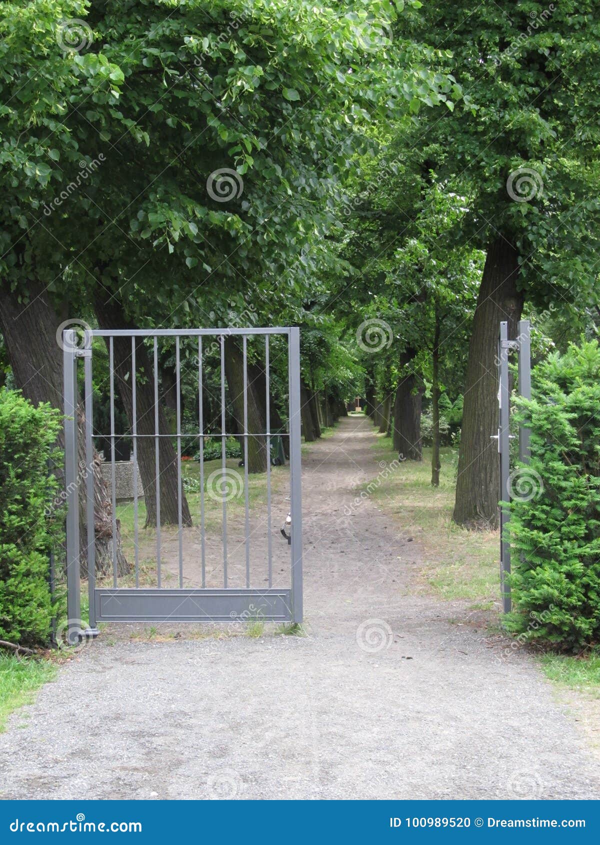 Treelined Path and Open Gate Stock Photo - Image of regal, beautiful ...