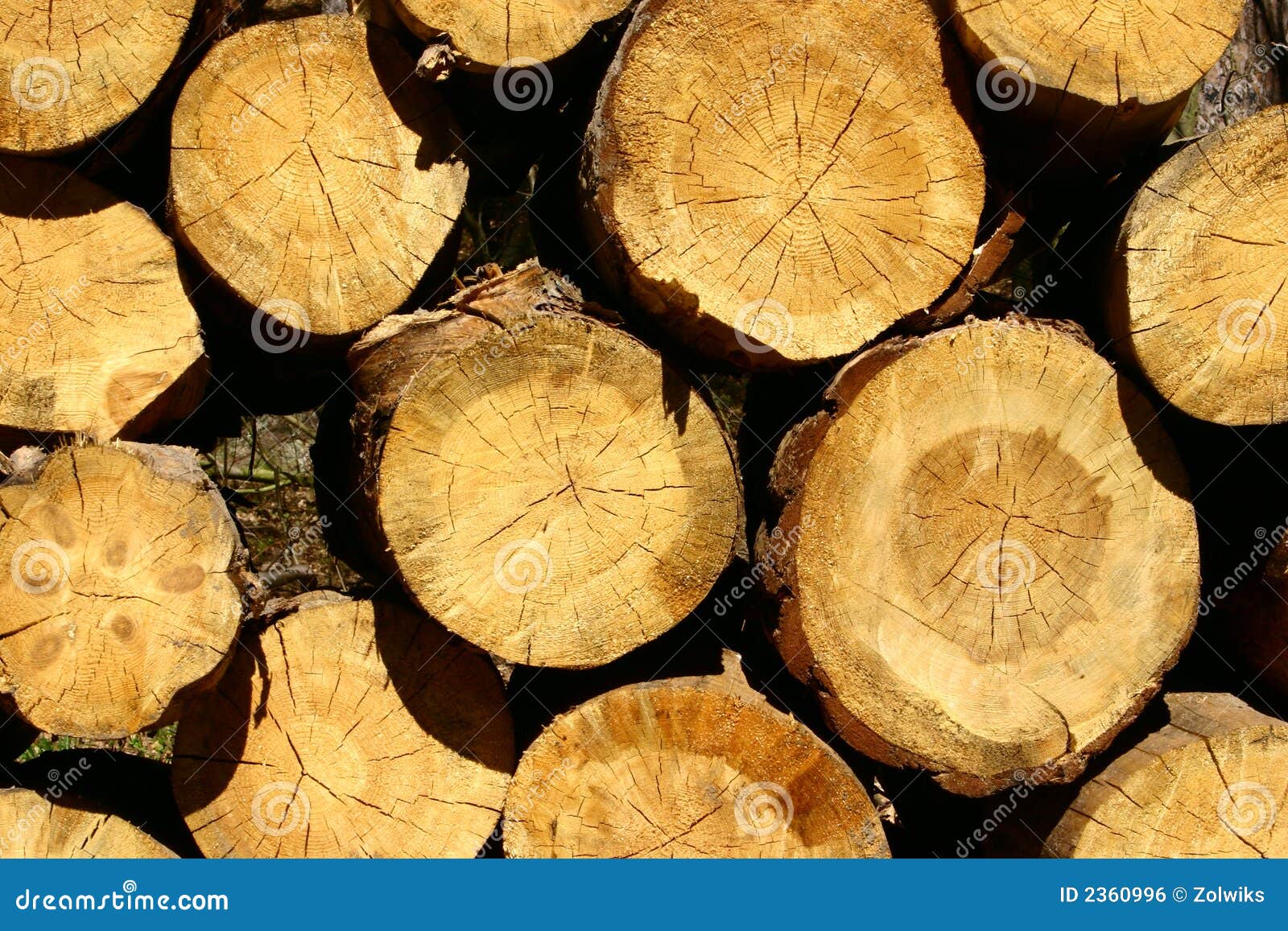 Trees stock photo. Image of background, hardwood, round - 2360996