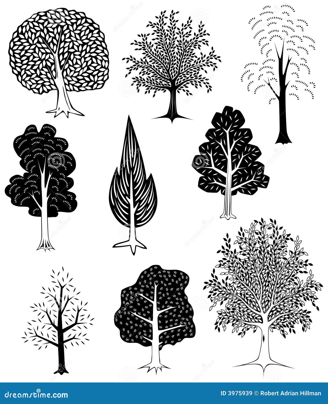Trees stock vector. Illustration of tree, outline, woodland - 3975939