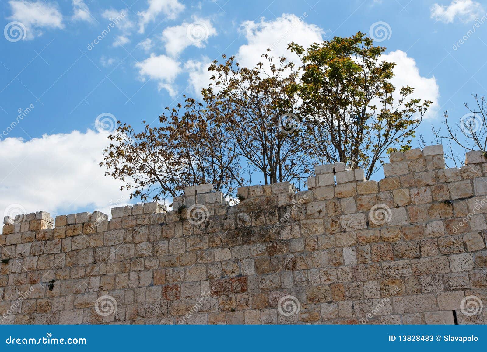 Trees Above Ancient Stone Wall Stock Image - Image of texture, city ...