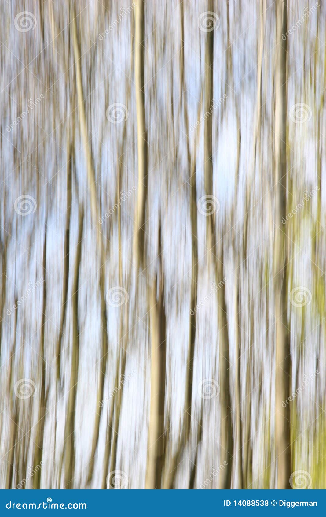 Trees Abstract stock photo. Image of silver, movement - 14088538