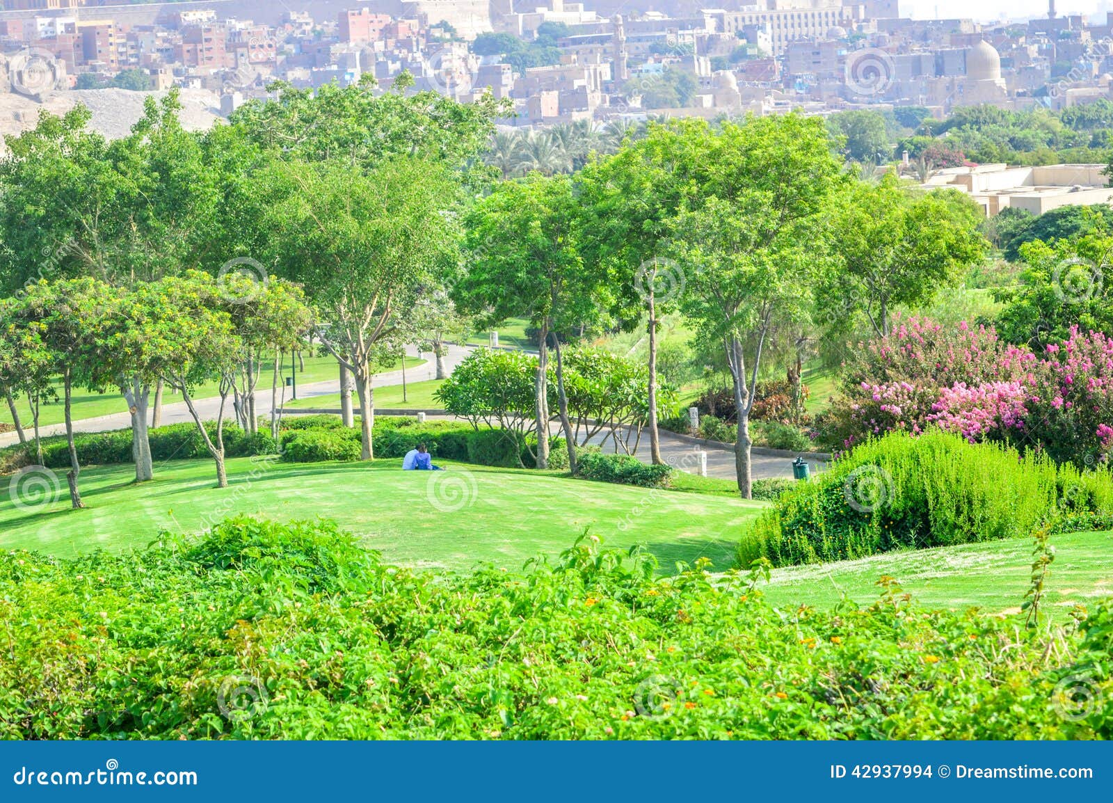 Trees editorial stock image. Image of gardens, trees - 42937994