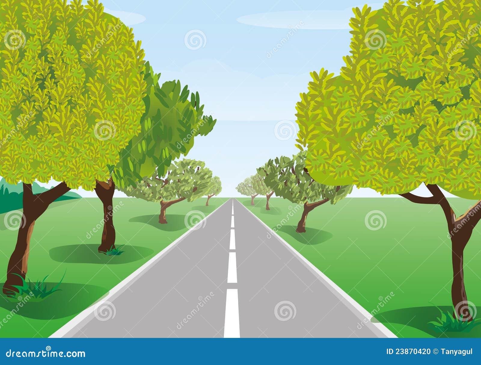 Trees along the road stock vector. Illustration of lane - 23870420