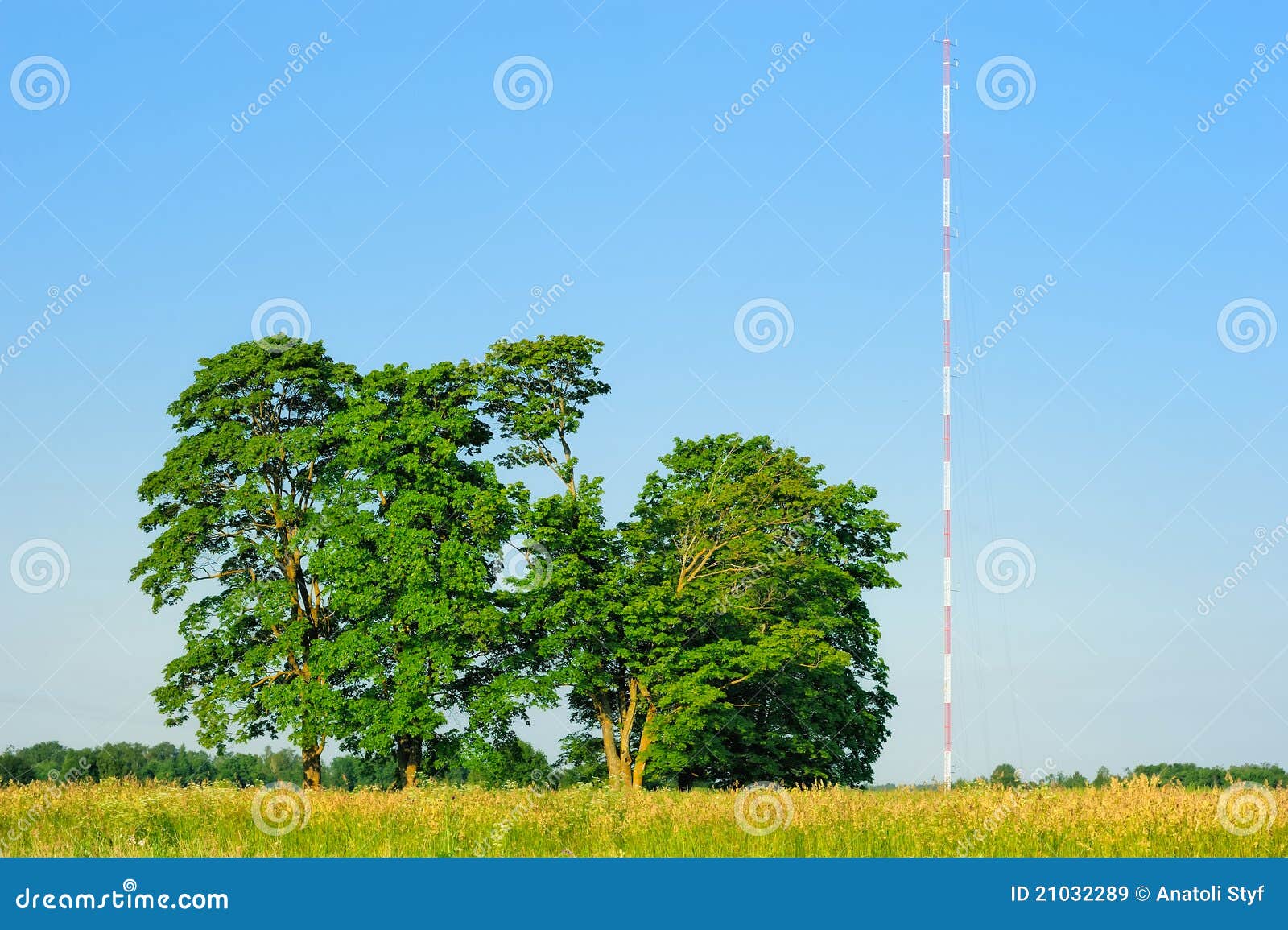Trees and Antenna stock image. Image of grove, country - 21032289