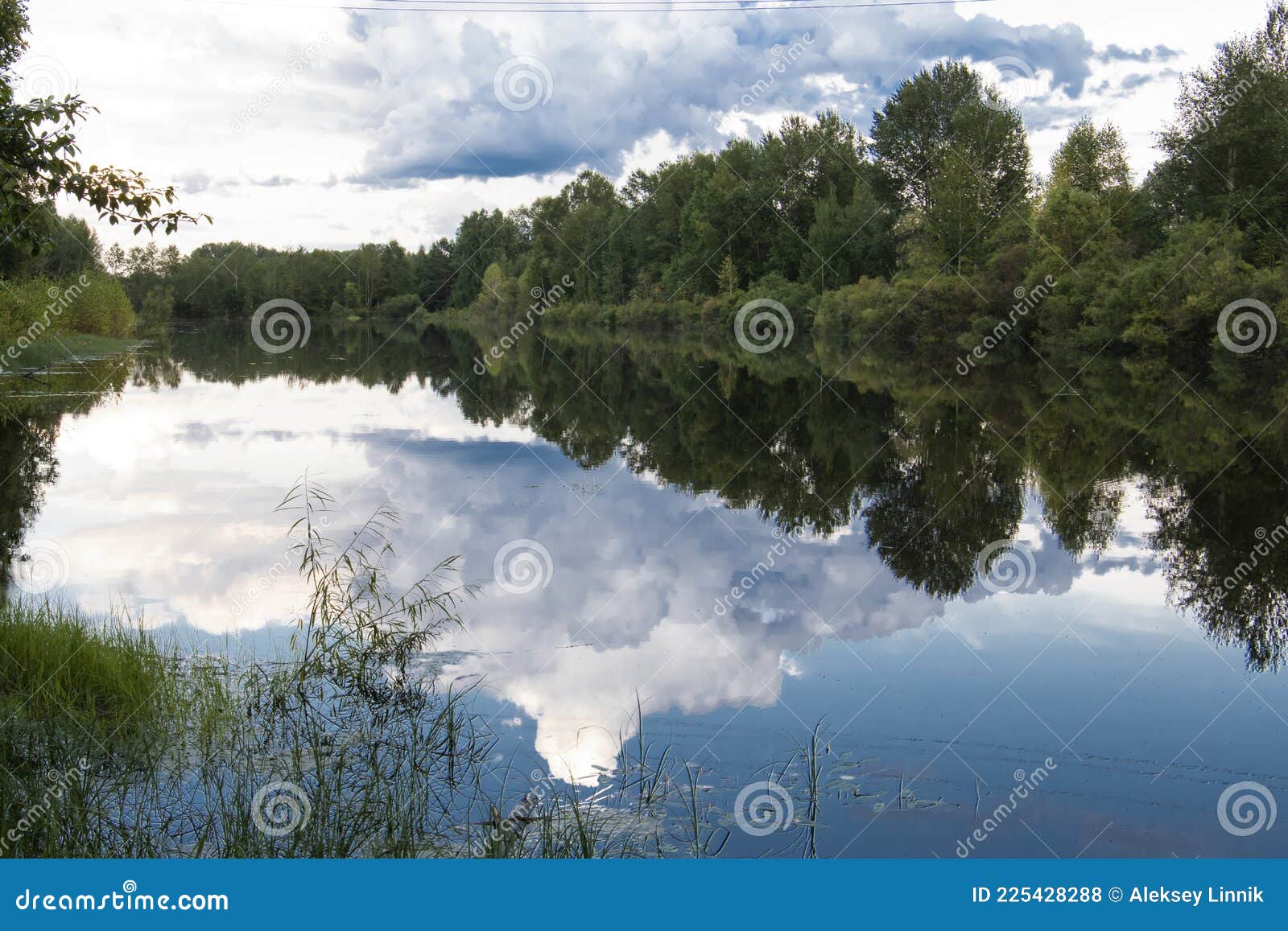 Trees around the pond stock photo. Image of lake, picturesque - 225428288