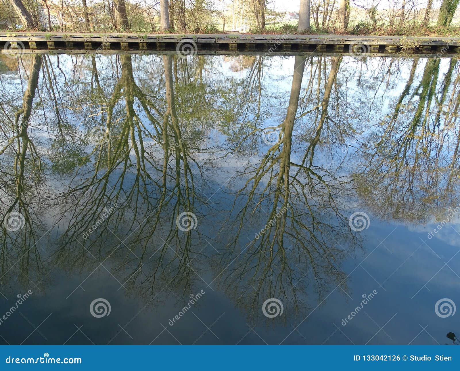 Trees Reflection in the Blue Water Stock Photo - Image of sunshine ...