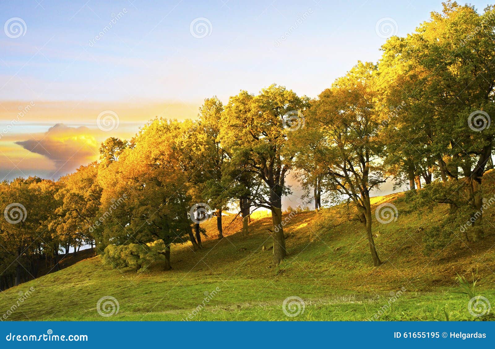 Trees in autumn sunset stock image. Image of leaf, cloud - 61655195