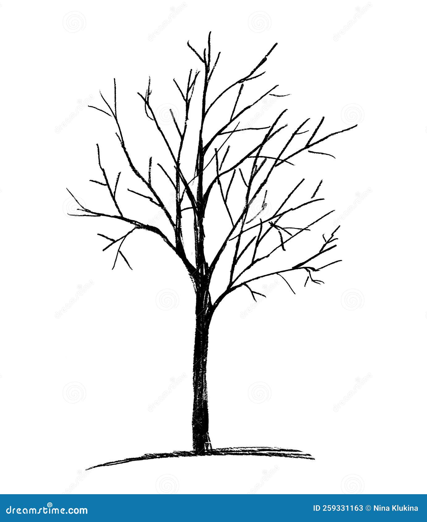 Trees with Bare Branches are Black on a White Background Stock ...