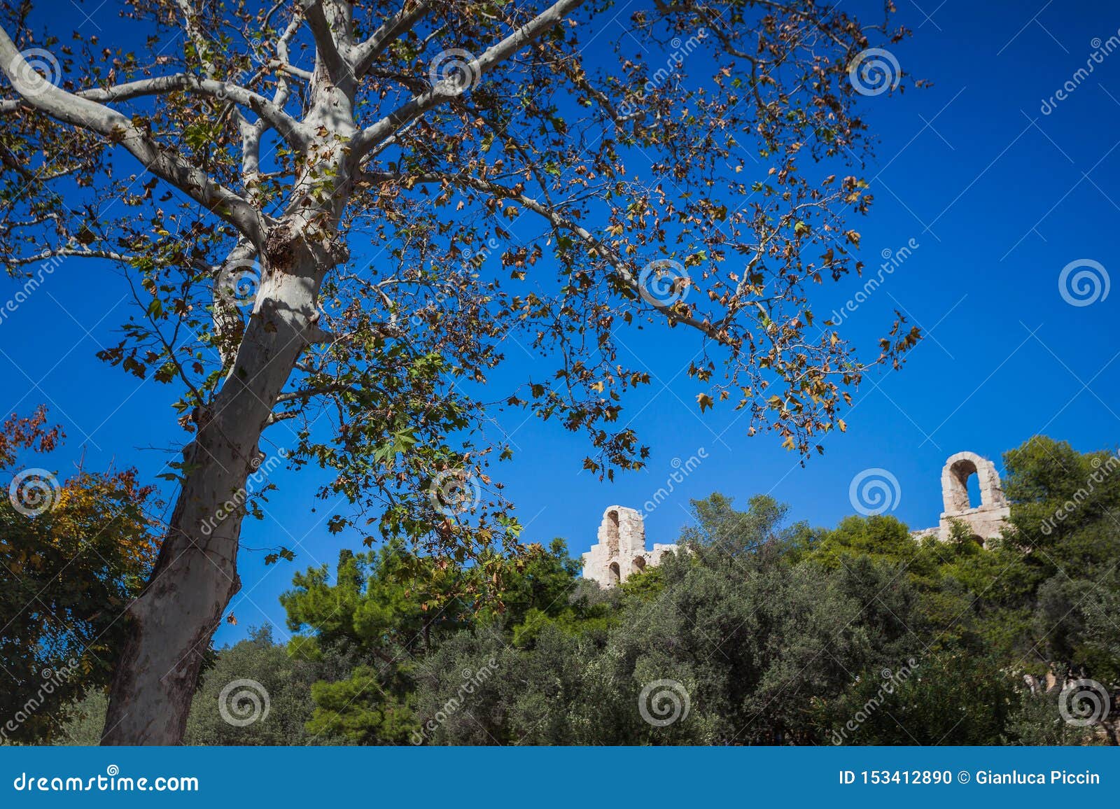 Trees at the Base of the Acropolis of Athens Stock Photo - Image of ...