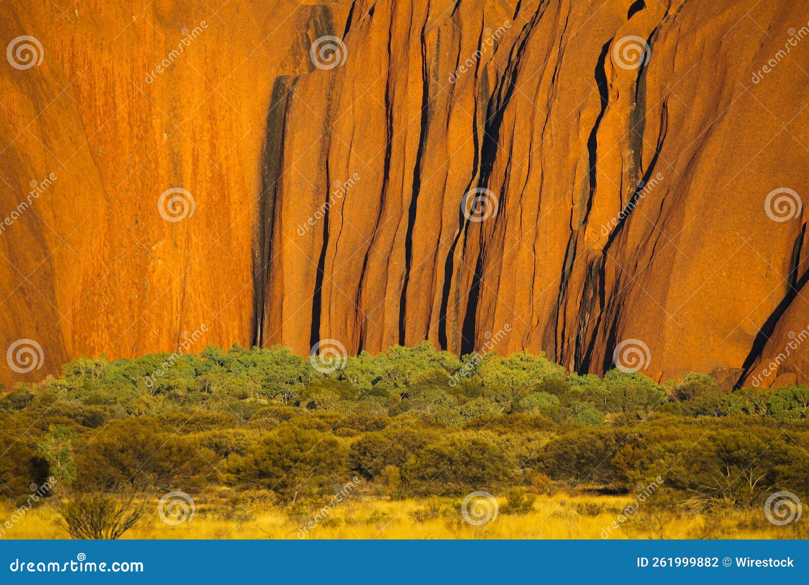 Trees at the Base of Ayers Rock in Australia Editorial Photography ...