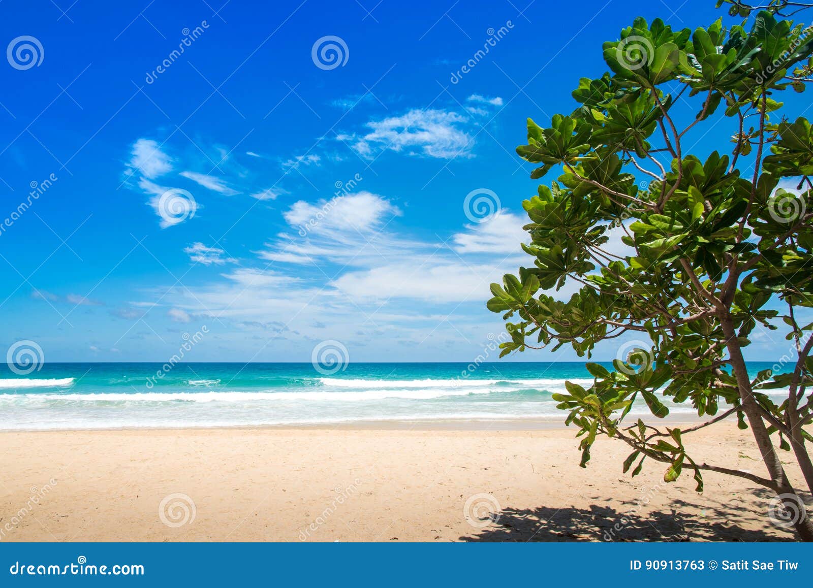Trees at the Beach and the Beautiful Sky. Stock Image - Image of sunny ...
