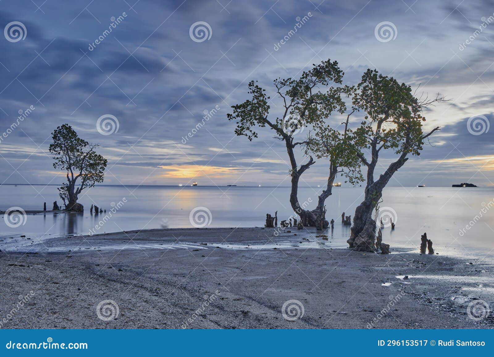 Trees by the Beach. West Sumatra, Indonesia. Stock Image - Image of ...