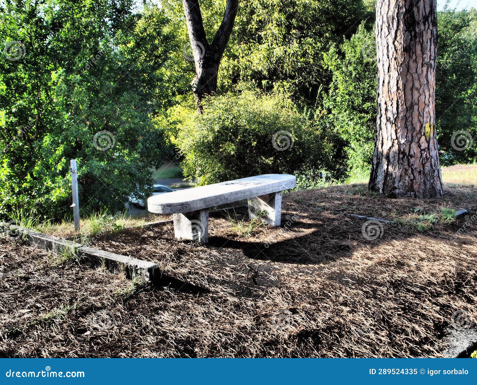 Trees, Bench, Old Style, Greenery, Vegetation, Central Rome Stock Image ...