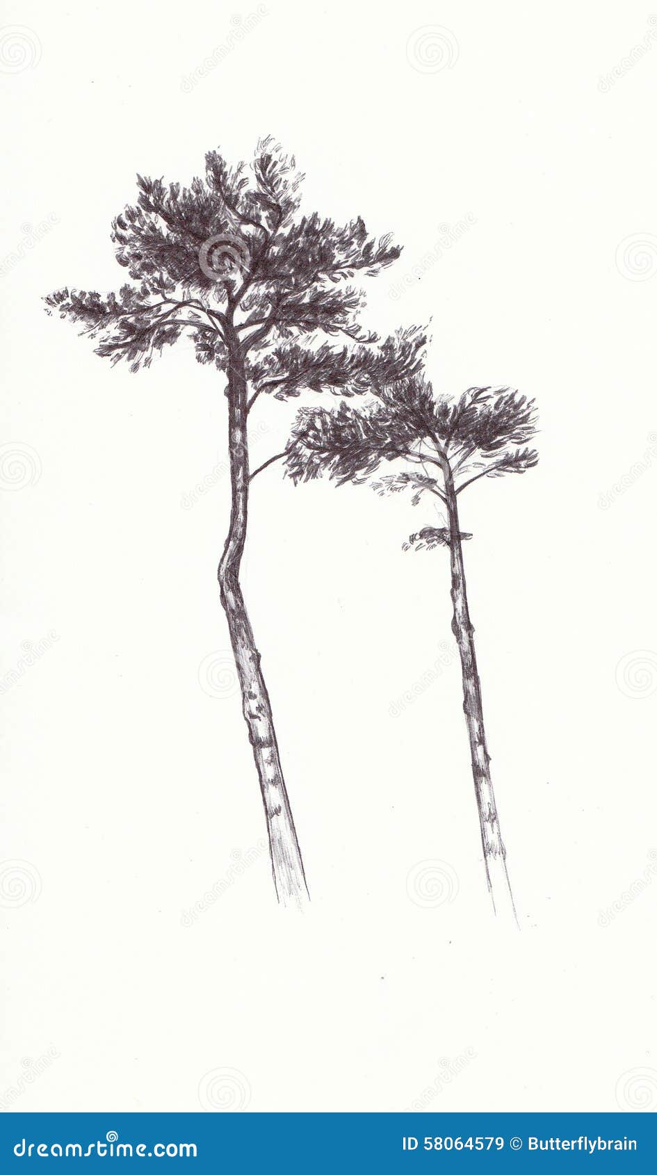 Trees in Biro stock illustration. Illustration of style - 58064579
