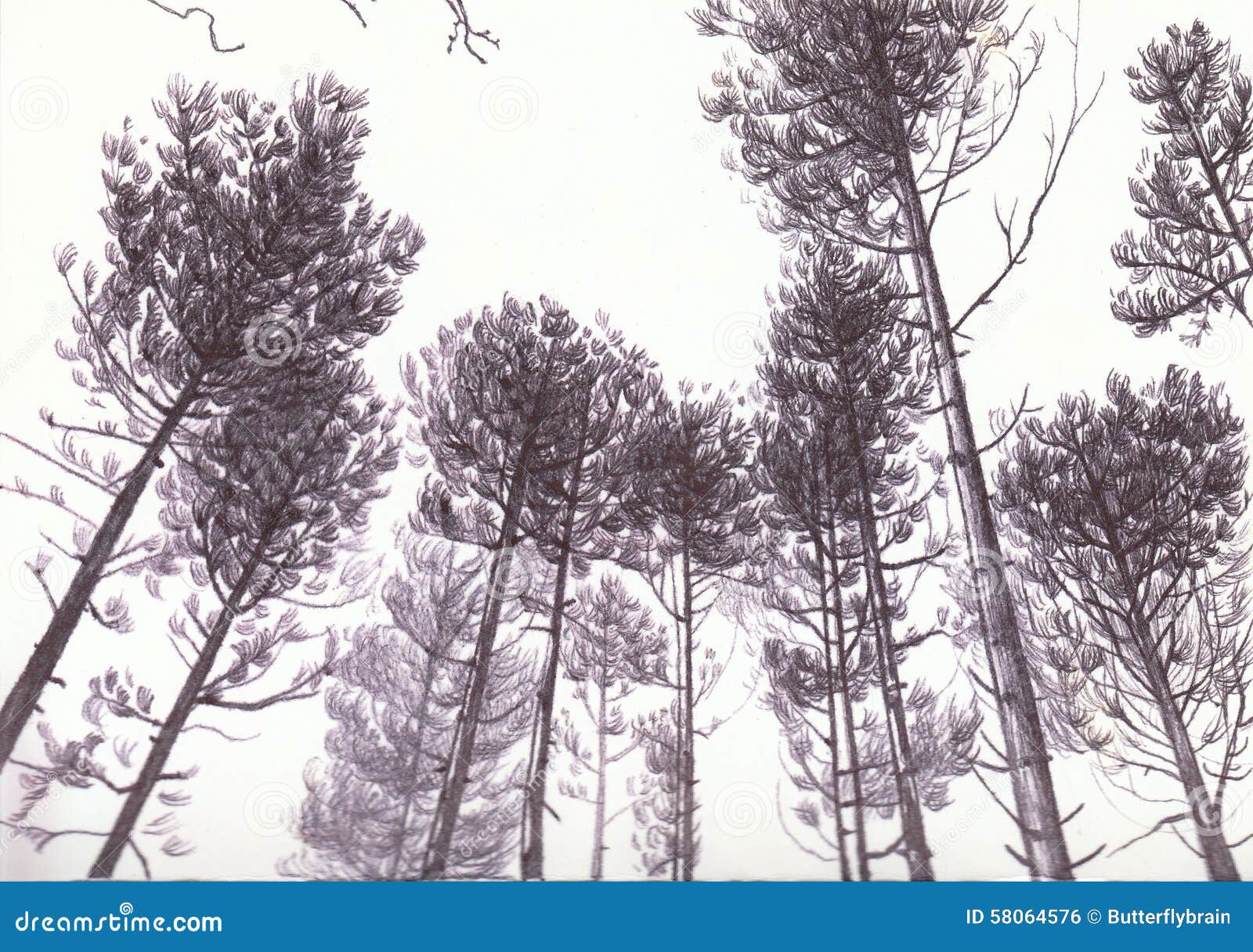 Trees in Biro stock photo. Image of trees, style, hand - 58064576