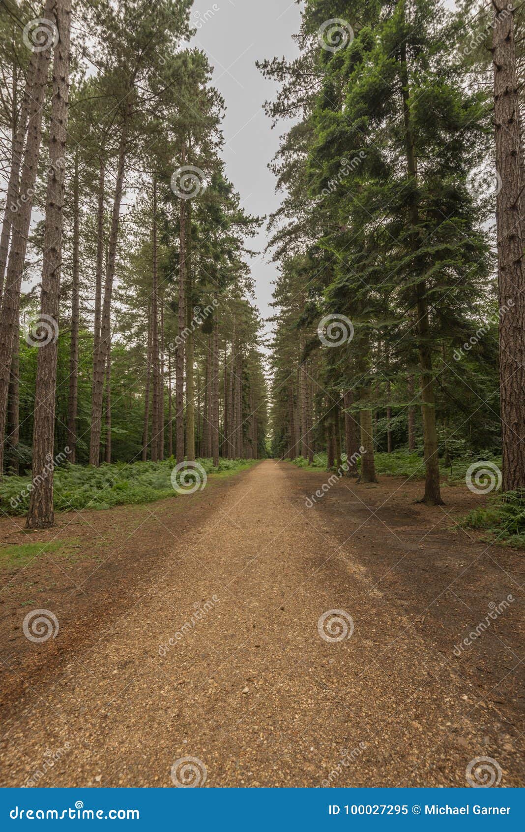 Wexham England Stock Photos - Free & Royalty-Free Stock Photos from ...