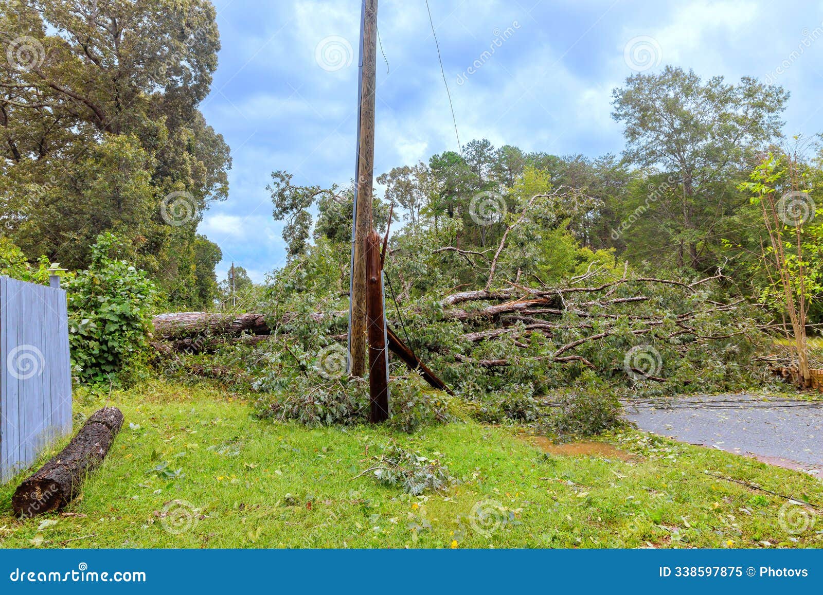 Trees are Blown Down during Tropical Storms, Causing Electrical Poles ...