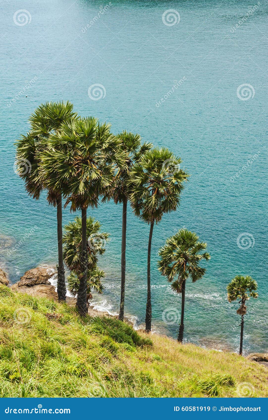 Trees in the blue sea stock image. Image of long, lagoon - 60581919
