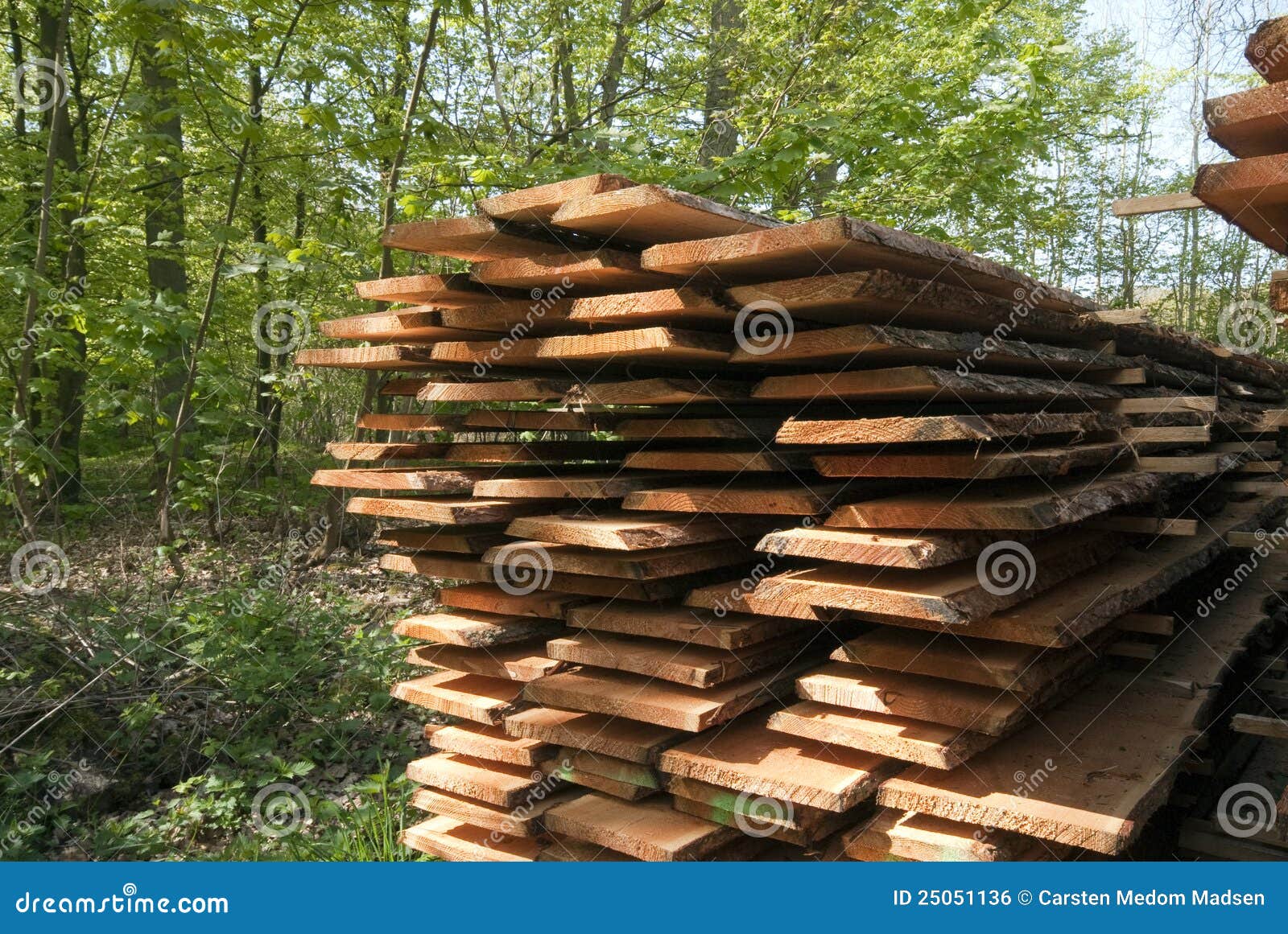 Trees and boards stock photo. Image of carpentry, staple - 25051136