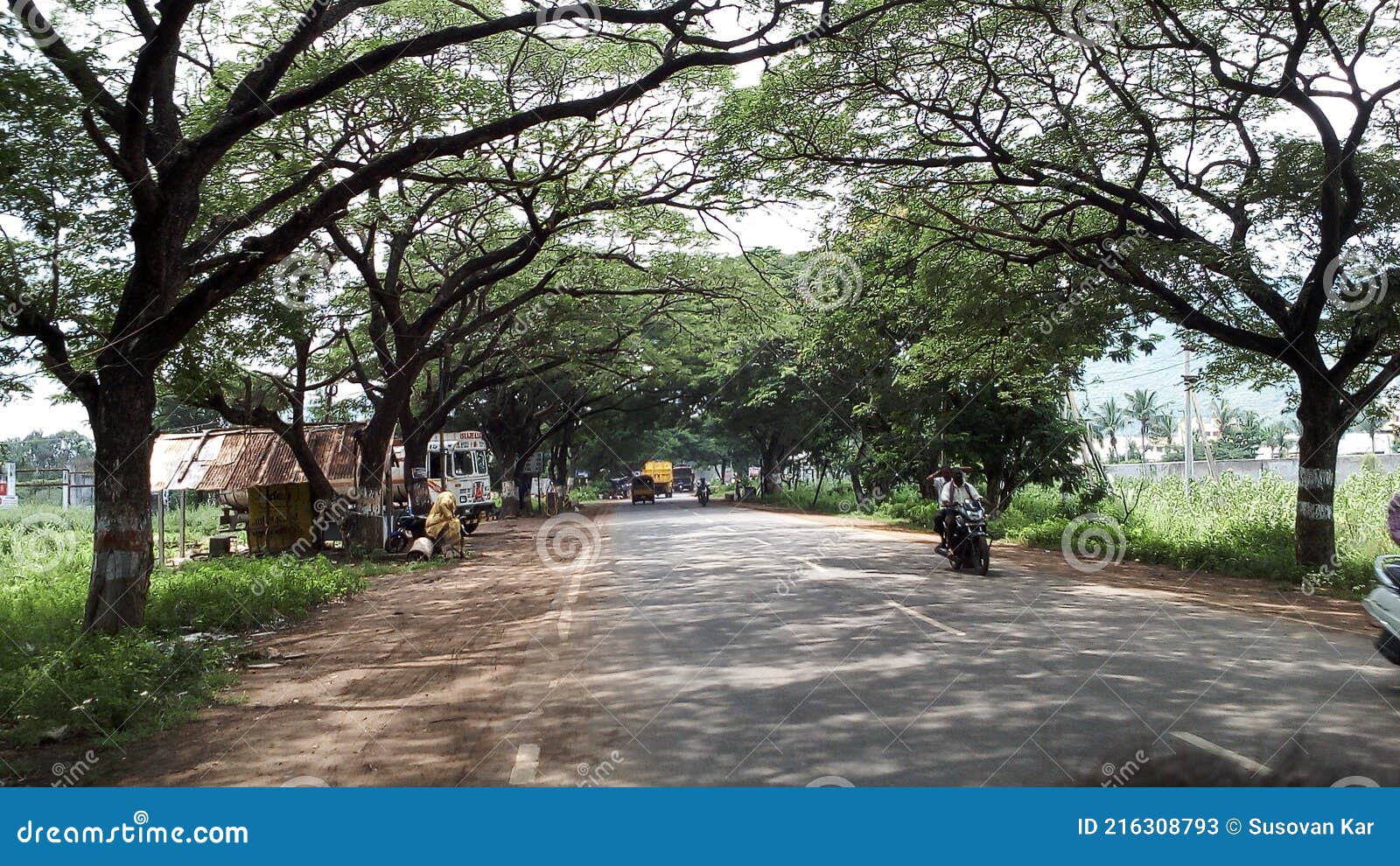 Trees on Both Side of a High Way and Shadow of those Trees Over Pitch ...