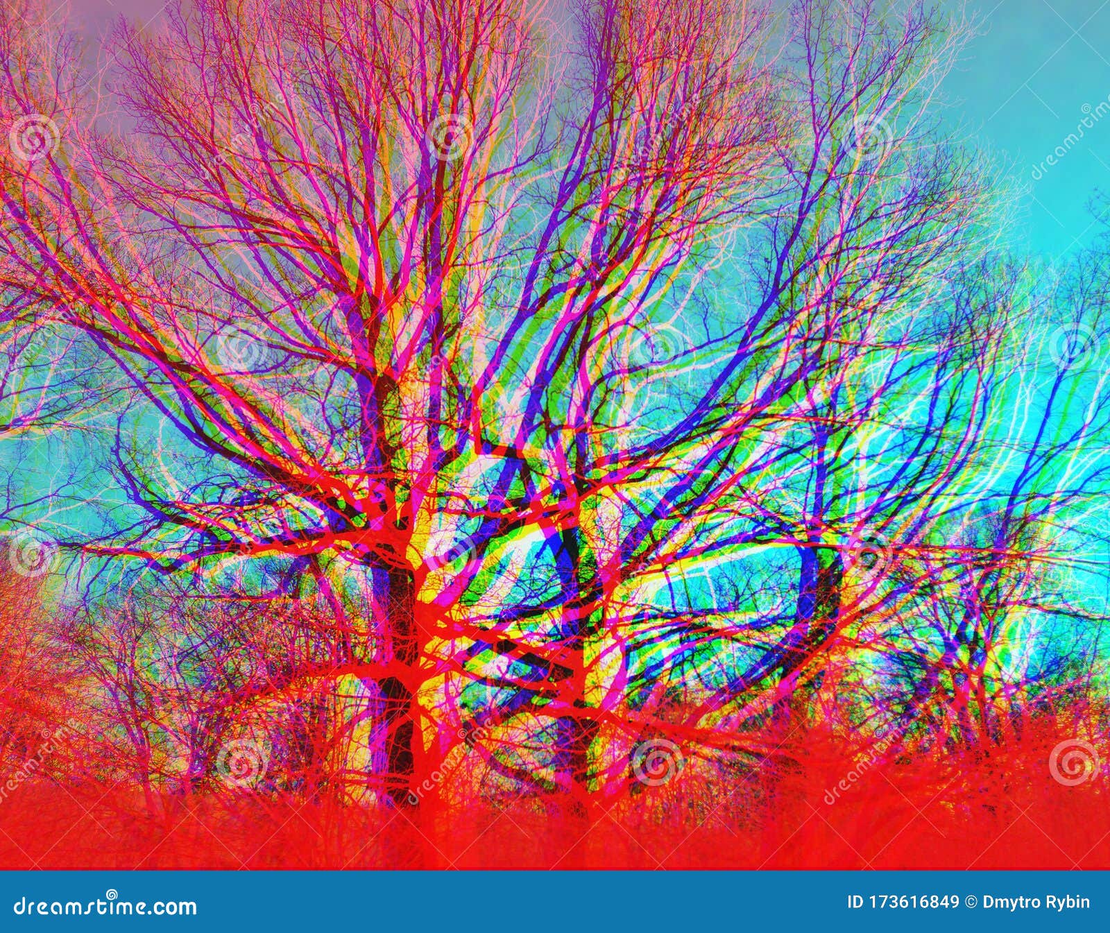 Trees in Bright Spectral Colors Against the Sky. Stock Image - Image of ...
