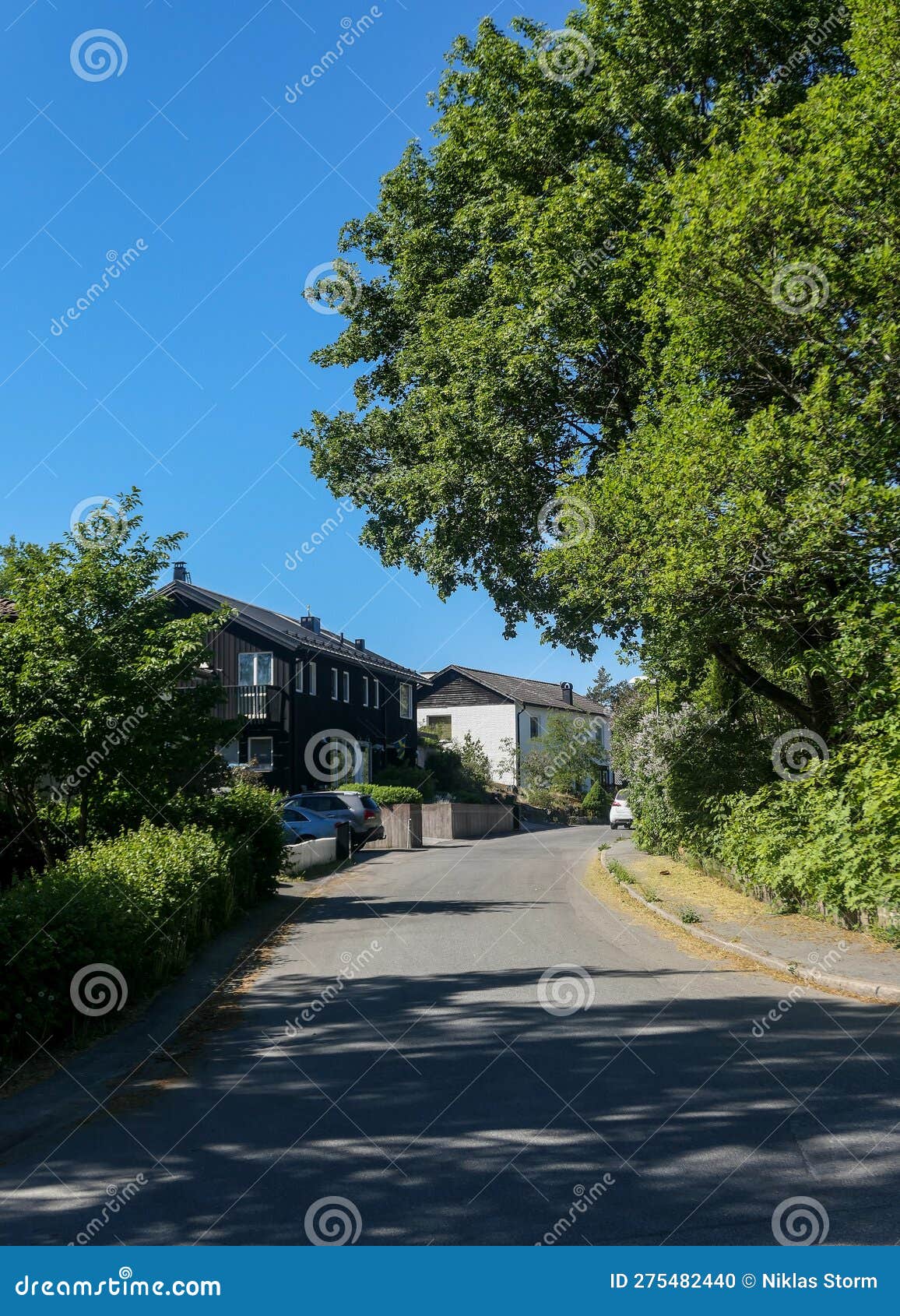 Trees and Building on the Side of a Road Stock Photo - Image of grass ...