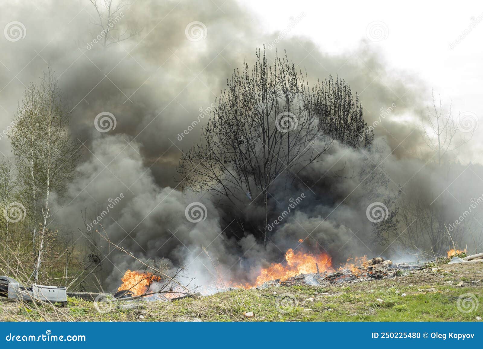 Trees are Burning. Fire in Nature. Burning Garbage Dump Stock Photo ...