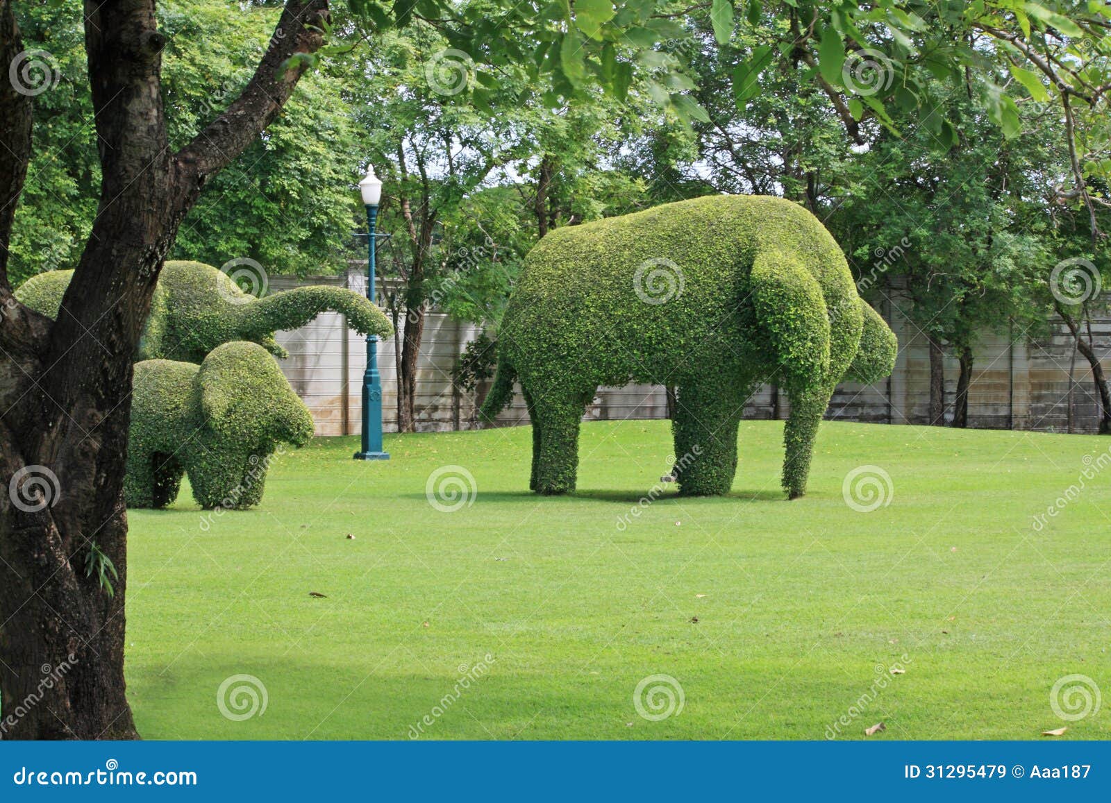 Trees bush elephant shape stock image. Image of jungle - 31295479
