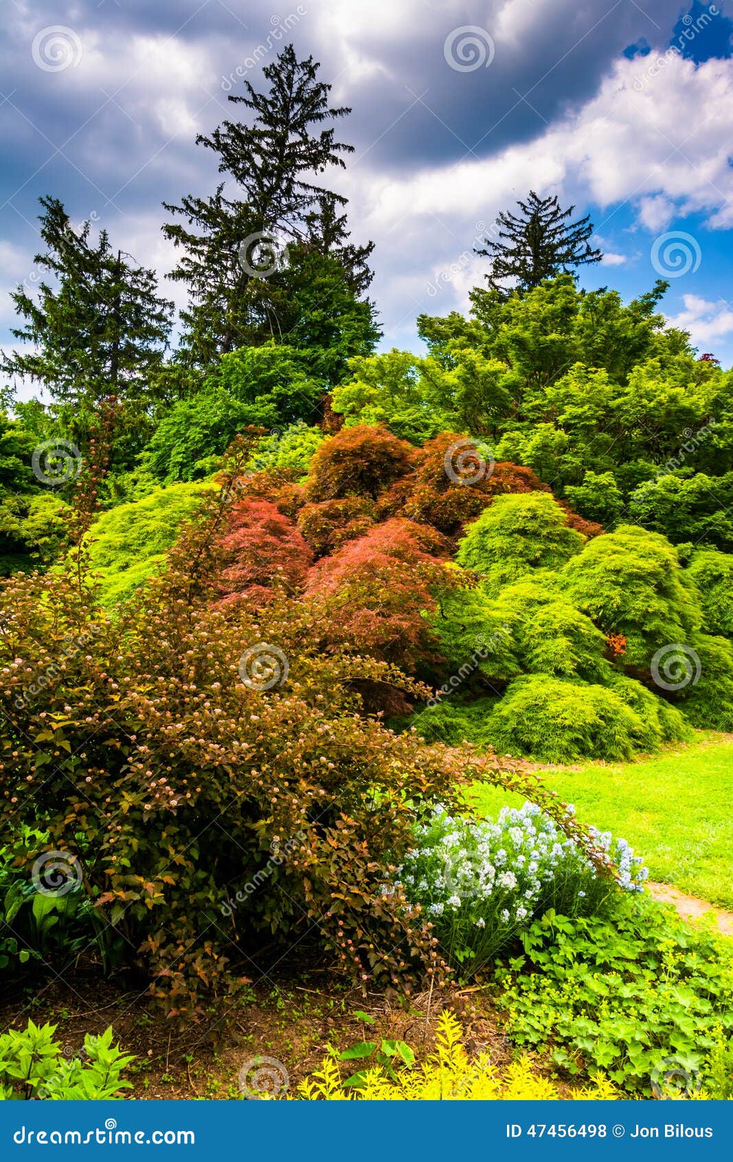 Trees and Bushes at Cylburn Arboretum, Baltimore, Maryland. Stock Photo ...