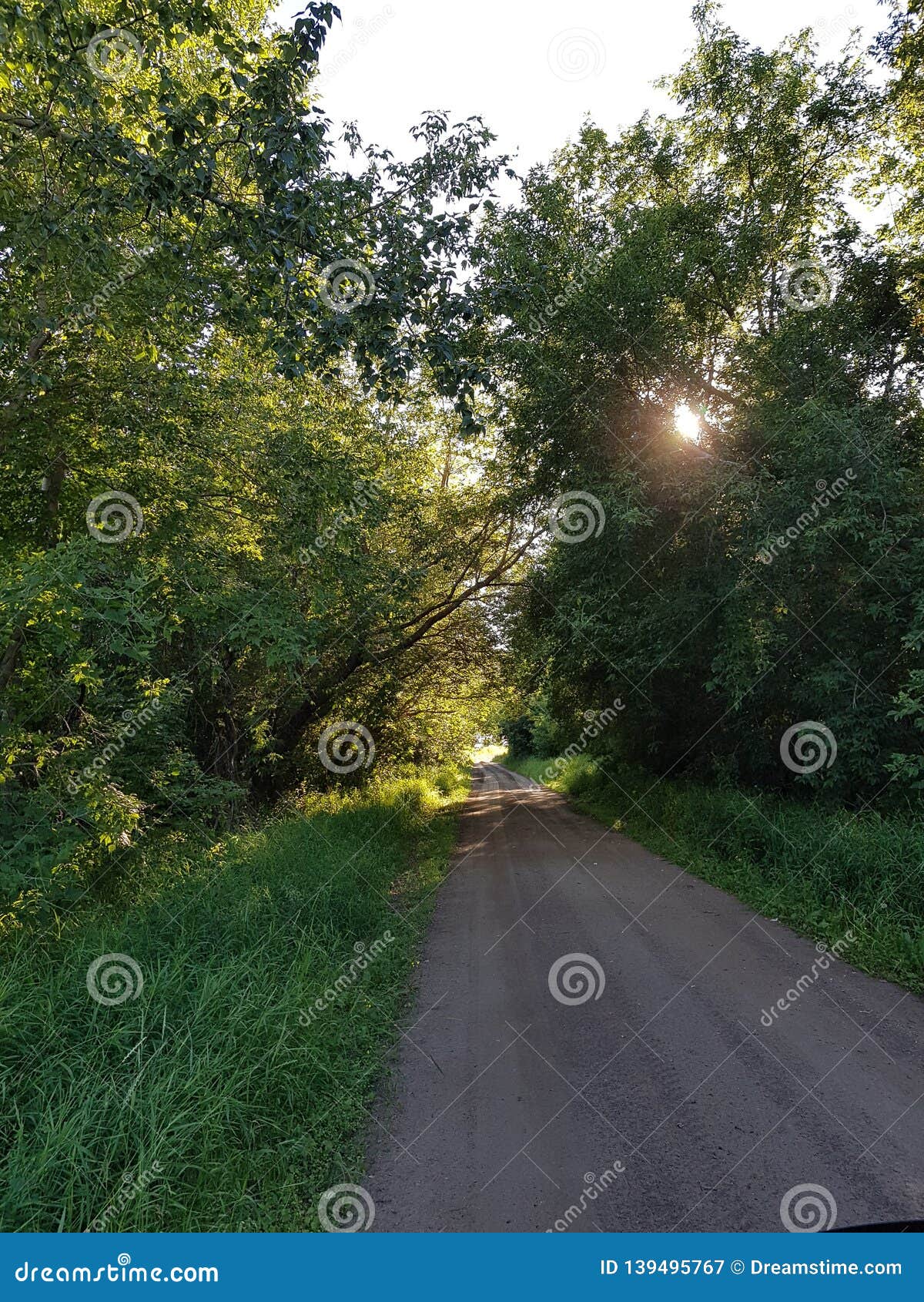 Back roads stock image. Image of bushes, back, trees - 139495767