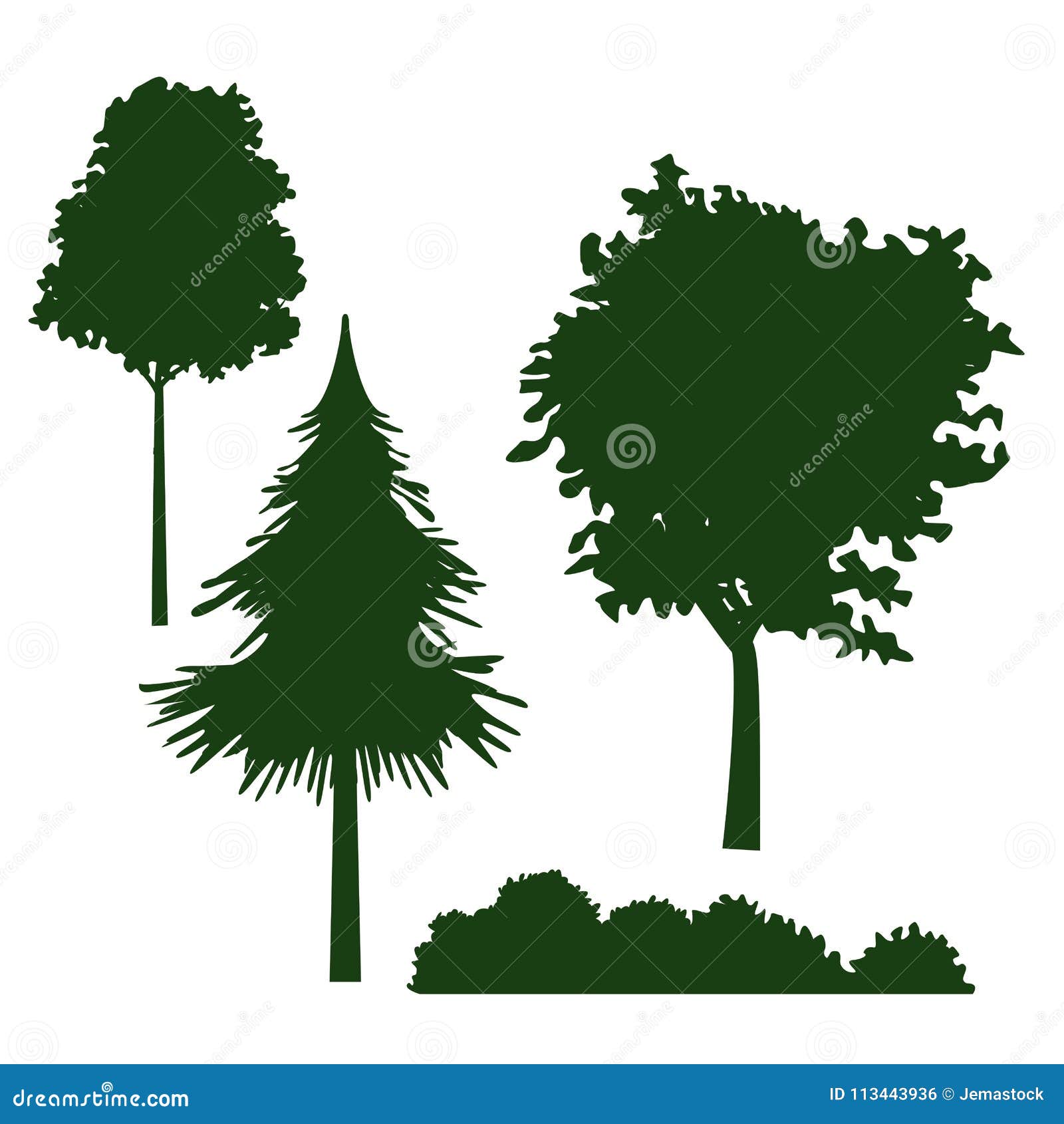 Trees and bushes stock vector. Illustration of trees - 113443936