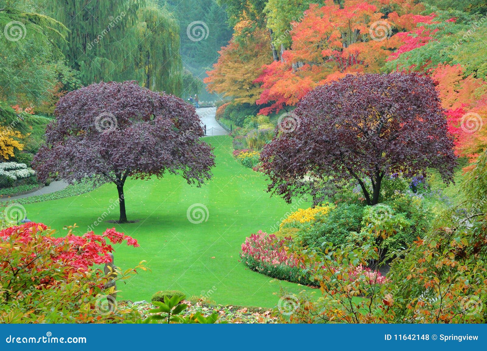 Trees in Butchart Gardens stock photo. Image of bridge - 11642148