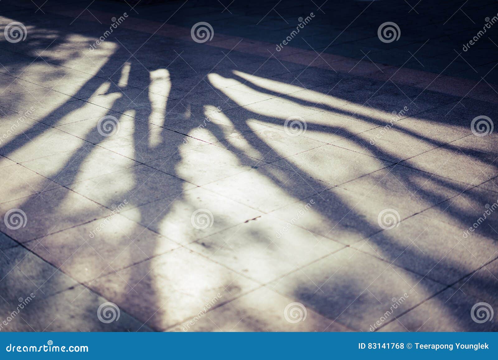 Trees Cast a Shadow Over the Pavement. Stock Photo - Image of people ...