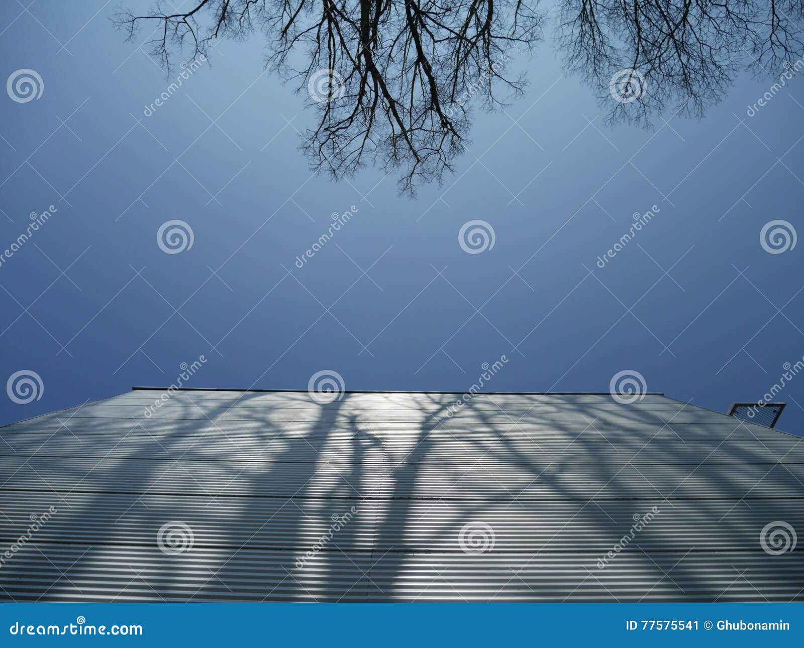 Trees Casting Shadow on Metal Facade of Building Stock Image - Image of ...