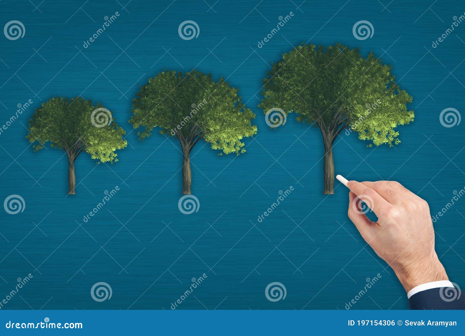 Trees on chalkboard stock photo. Image of nature, background - 197154306