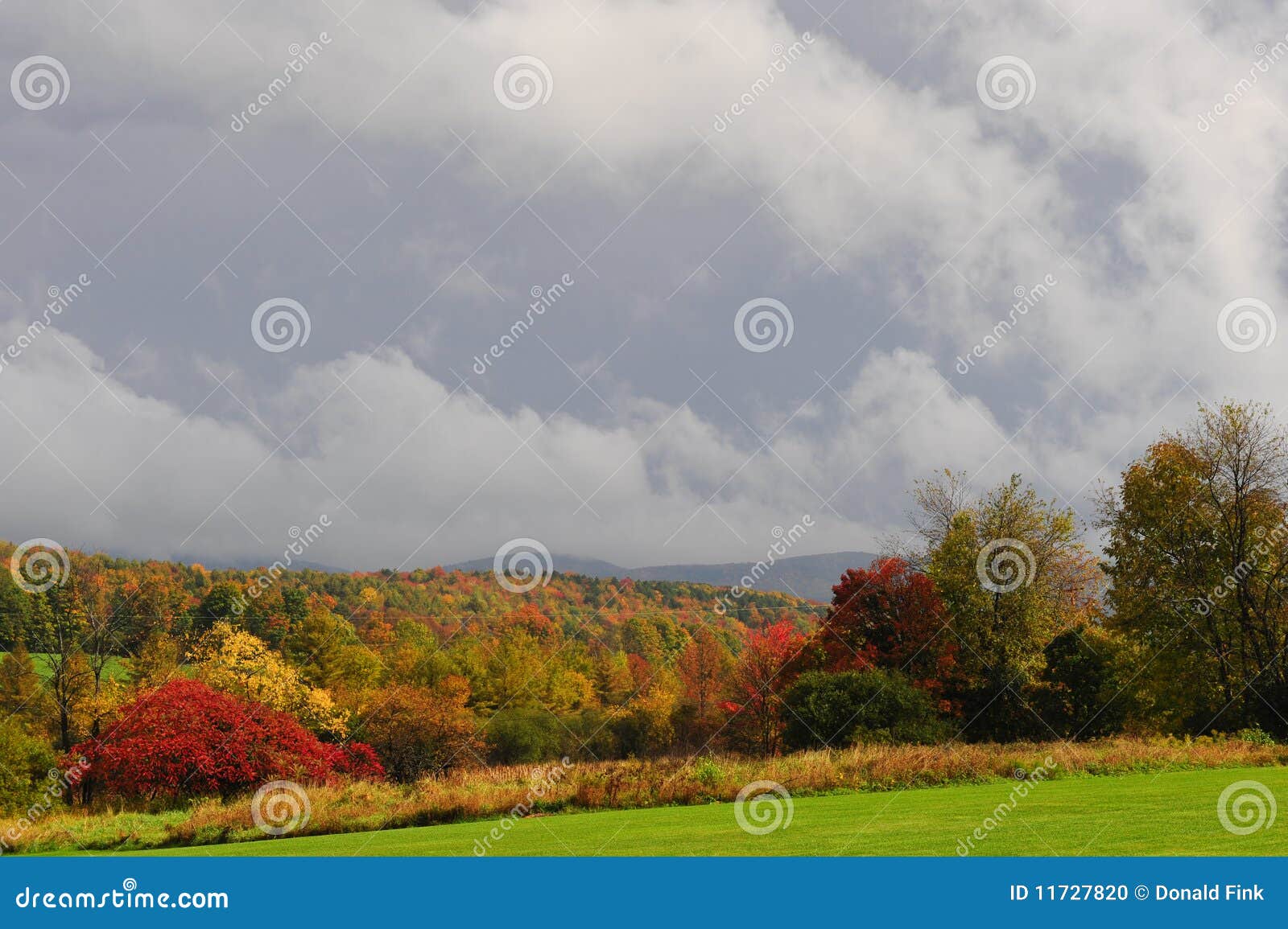 Trees changing in fall stock photo. Image of fall, trees - 11727820