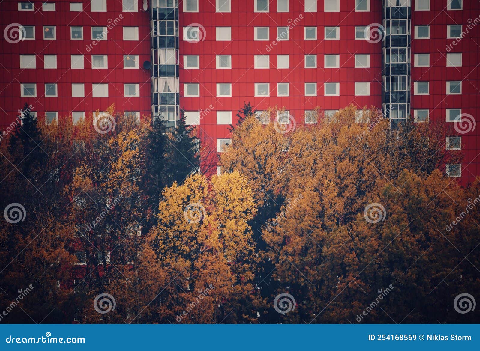 Trees in City during Autumn Stock Image - Image of leaf, reflection ...