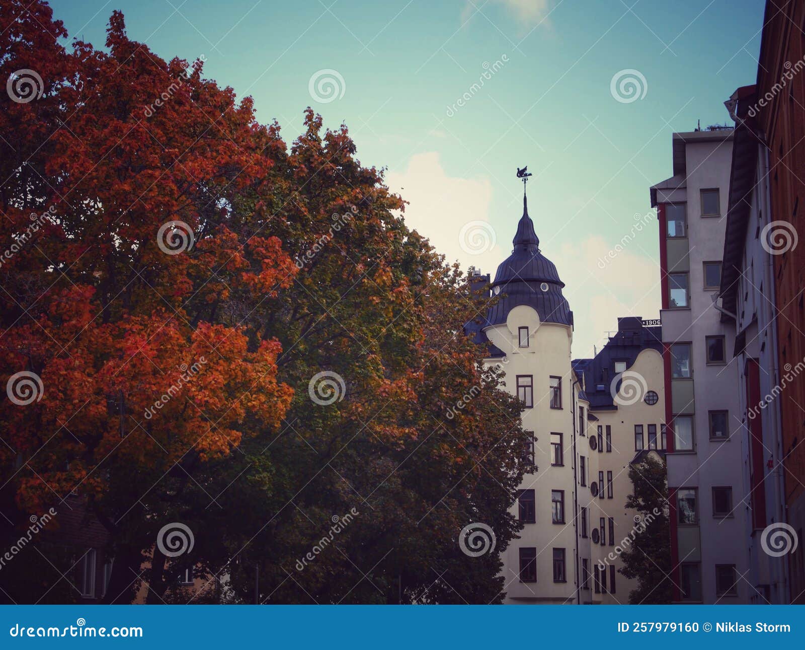 Trees in City during Autumn Stock Photo - Image of dusk, trees: 257979160