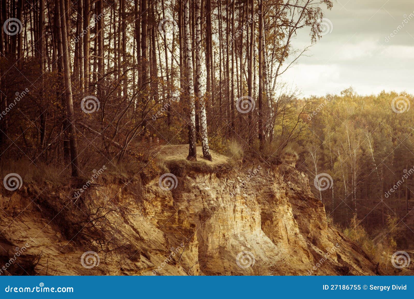 Trees on the Cliff stock image. Image of nature, cliff - 27186755