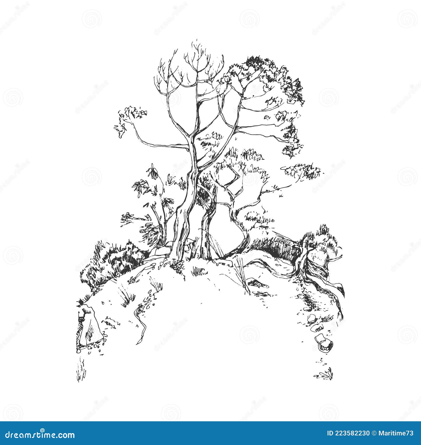 Trees on the Cliff. Hand Drawn Sketch on White. Vector Realistic ...