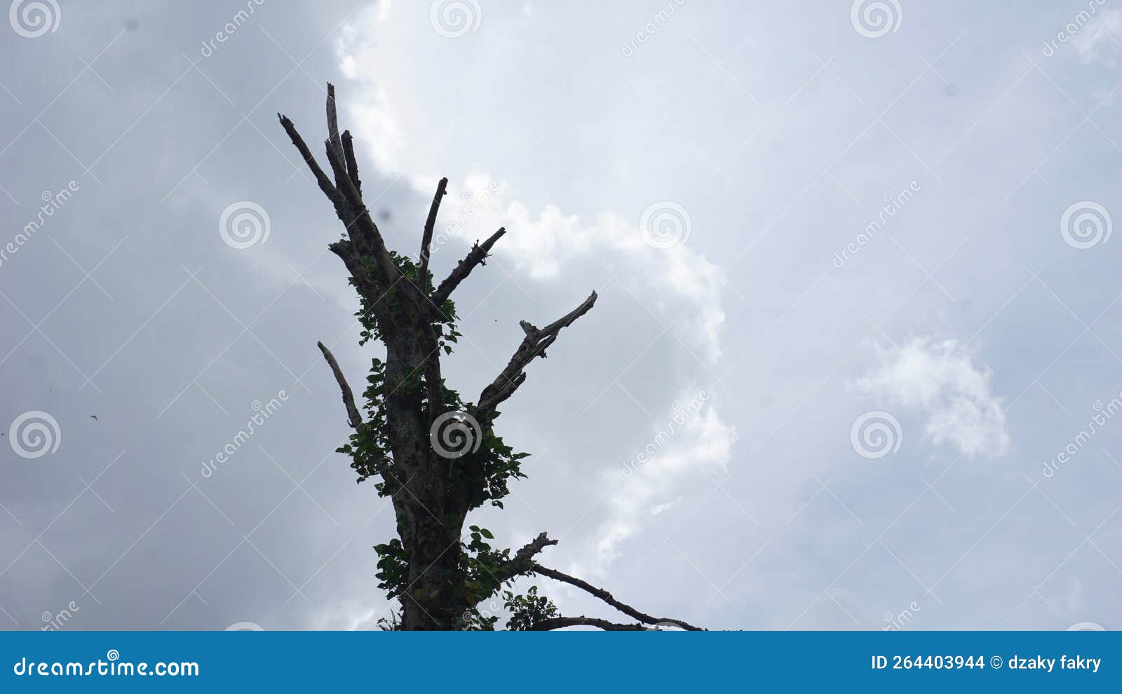 Trees with Cloud Background Stock Photo - Image of sketch, sculpture ...