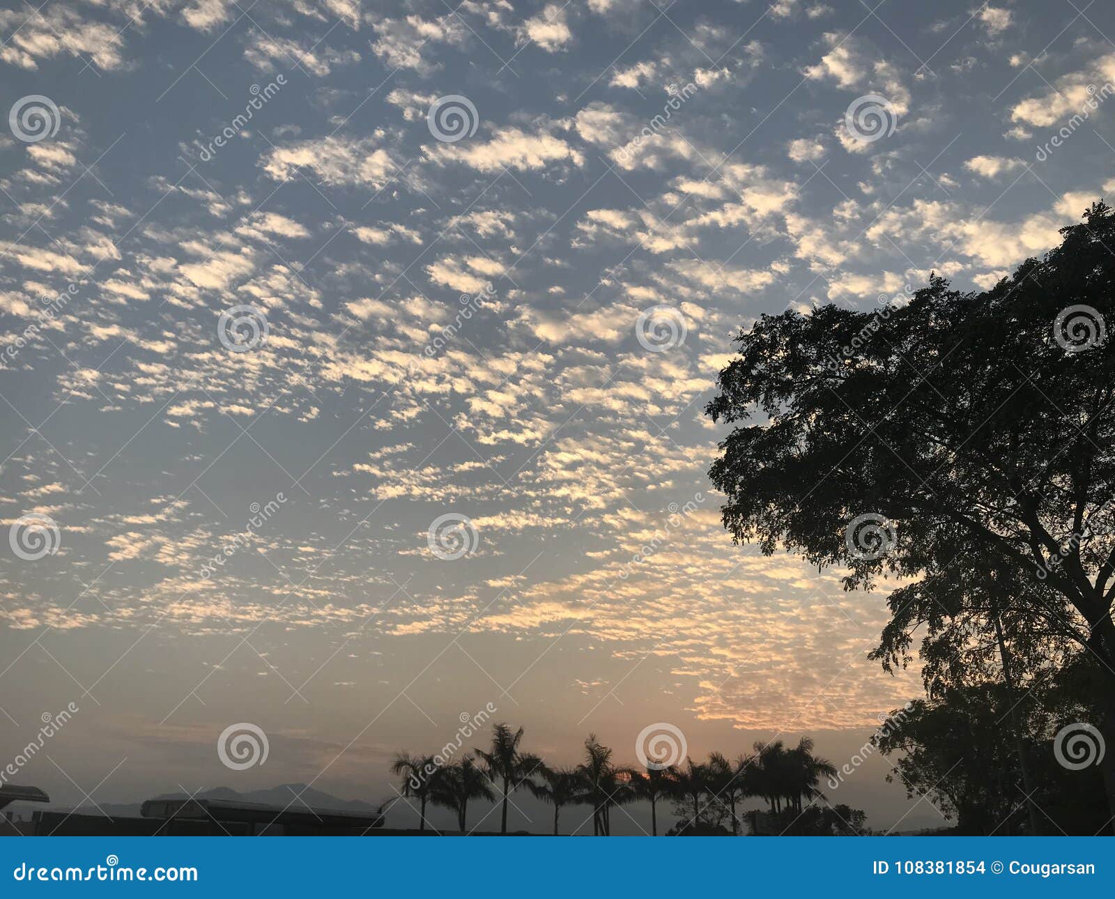 Trees, Clouds and Gradient Blue To Orange Sky at Sunset Stock Photo ...
