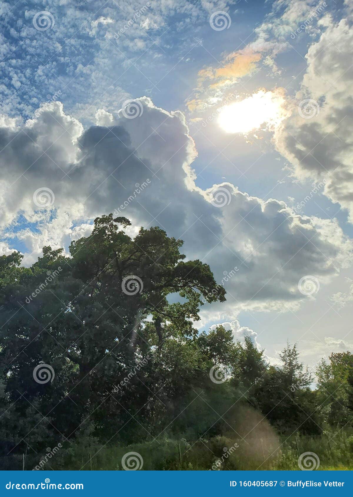 The Trees, Clouds, and Sun stock image. Image of nature - 160405687