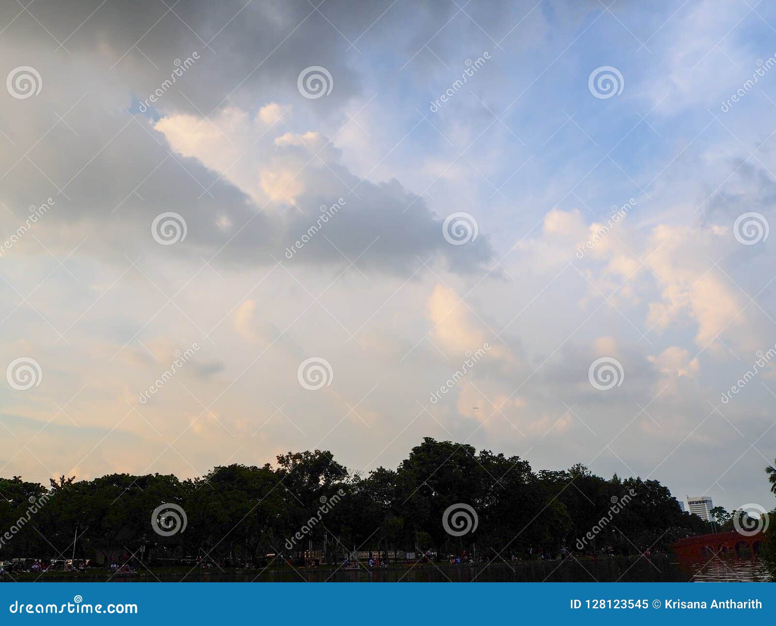 Trees on Cloudy with Sky at Evening Background Silhouette Style Stock ...