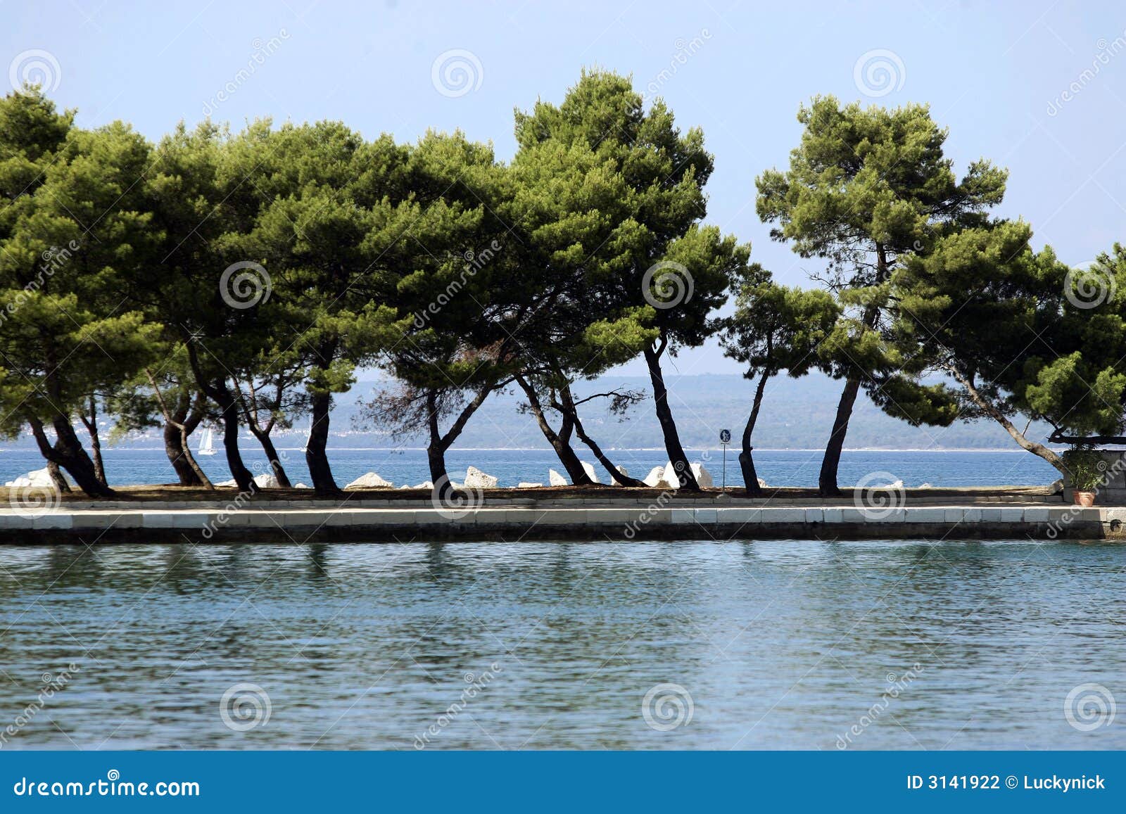Trees on coastline stock photo. Image of greenery, quayside - 3141922
